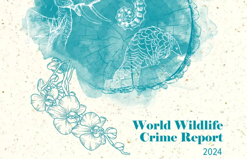 World Wildlife Crime Report 2024 World Wildlife Crime Report 2024